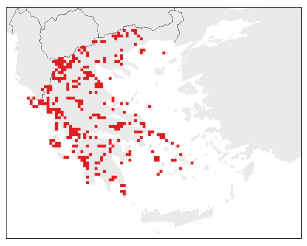 Βαλκανικός βάτραχος – Άτλαντας Ερπετών και Αμφιβίων Ελλάδας