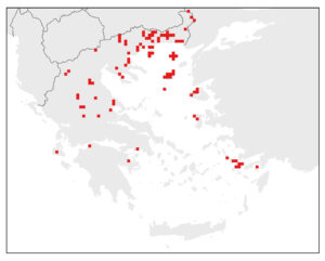 Γραικοχελώνα – Άτλαντας Ερπετών και Αμφιβίων Ελλάδας